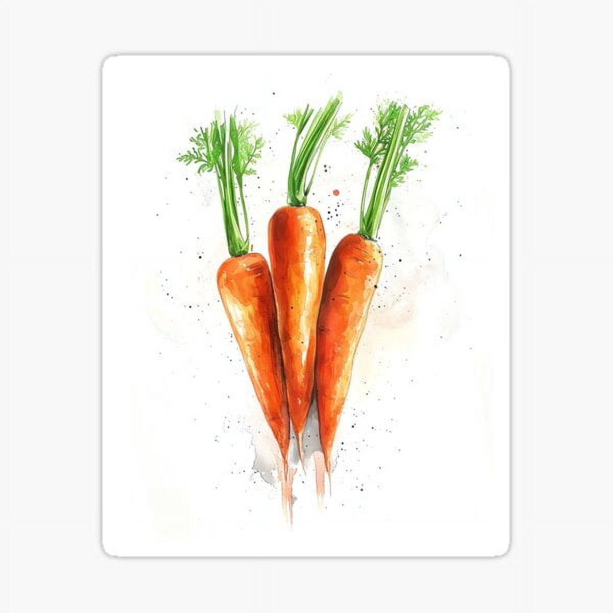 DOPASTICKER Carrots - Fruits And Vegetables Kitchen Poster - Kitchen ...