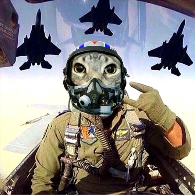DOPASTICKER Cat Pilot Sticker Rock On Flight Flying Fighter Jet Air ...