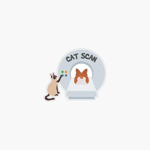 DOPASTICKER Cat Scan Sticker, Phone Sticker Water Bottle Sticker Car ...