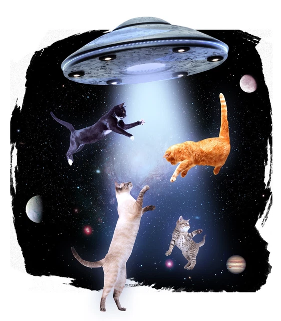DOPASTICKER Cats Sticker Ufo Space Tractor Beam Antisocial Escape Phone ...