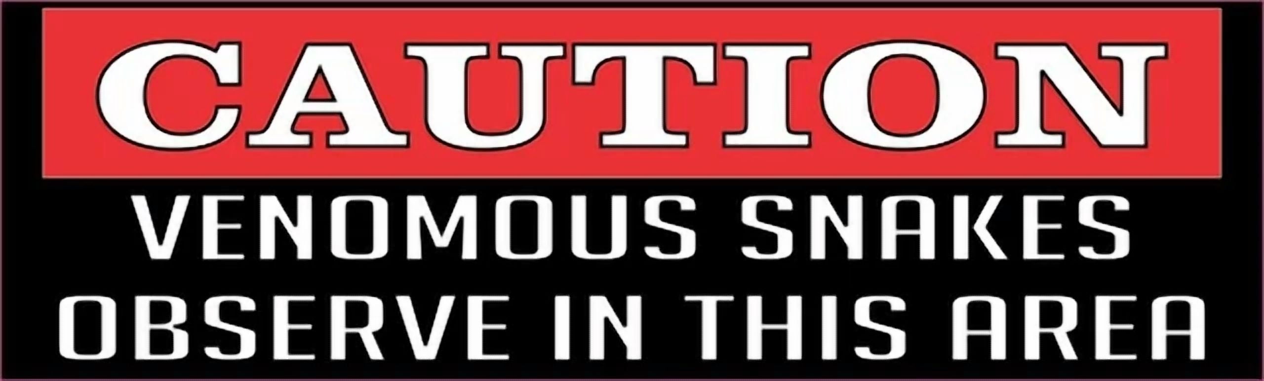 DOPASTICKER Caution Venomous Snakes Sticker Car Sticker Phone Sticker ...