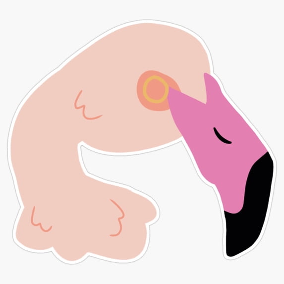 DOPASTICKER Cbs Sticker, Greater Flamingo Sticker, Phone Sticker Car ...