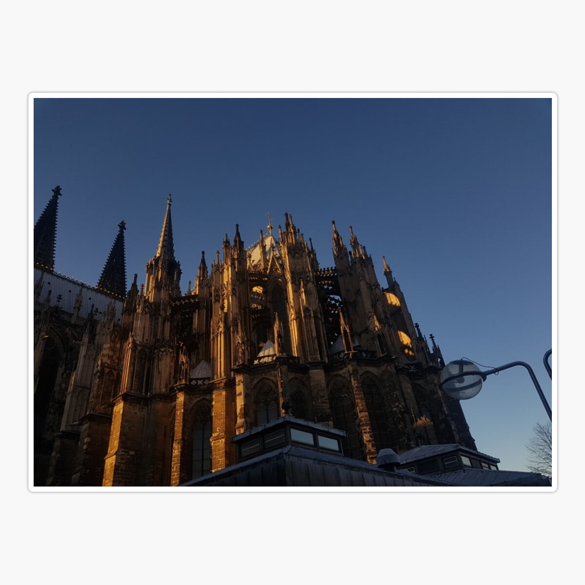 DOPASTICKER Cerberus Puppy Sticker, Phone Sticker Water Bottle Sticker ...