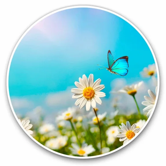 DOPASTICKER Chamomile Flowers Blue Butterfly Cool Gift Decorative Laptop, Phone Stickers ...