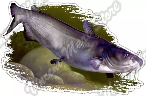 DOPASTICKER Channel Catfish Fishing Fish Fisherman Swim Car Sticker ...