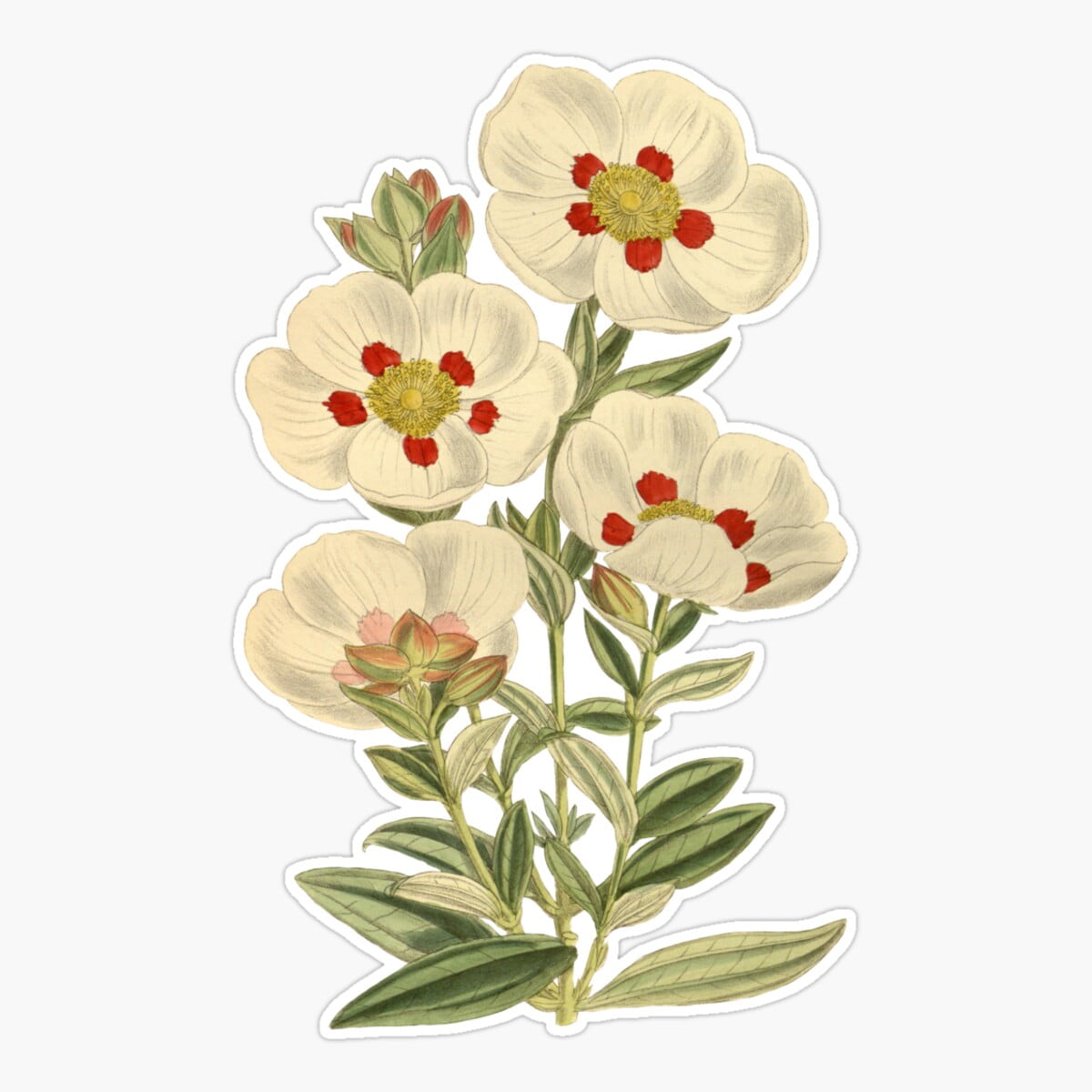 DOPASTICKER Cheetah Print M Initial Sticker, Phone Sticker Car Stickers ...