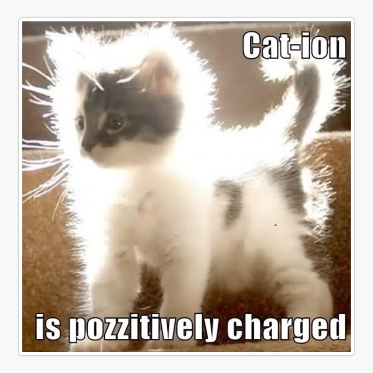 DOPASTICKER Chemistry Cat Cation Sticker, Phone Sticker Water Bottle ...