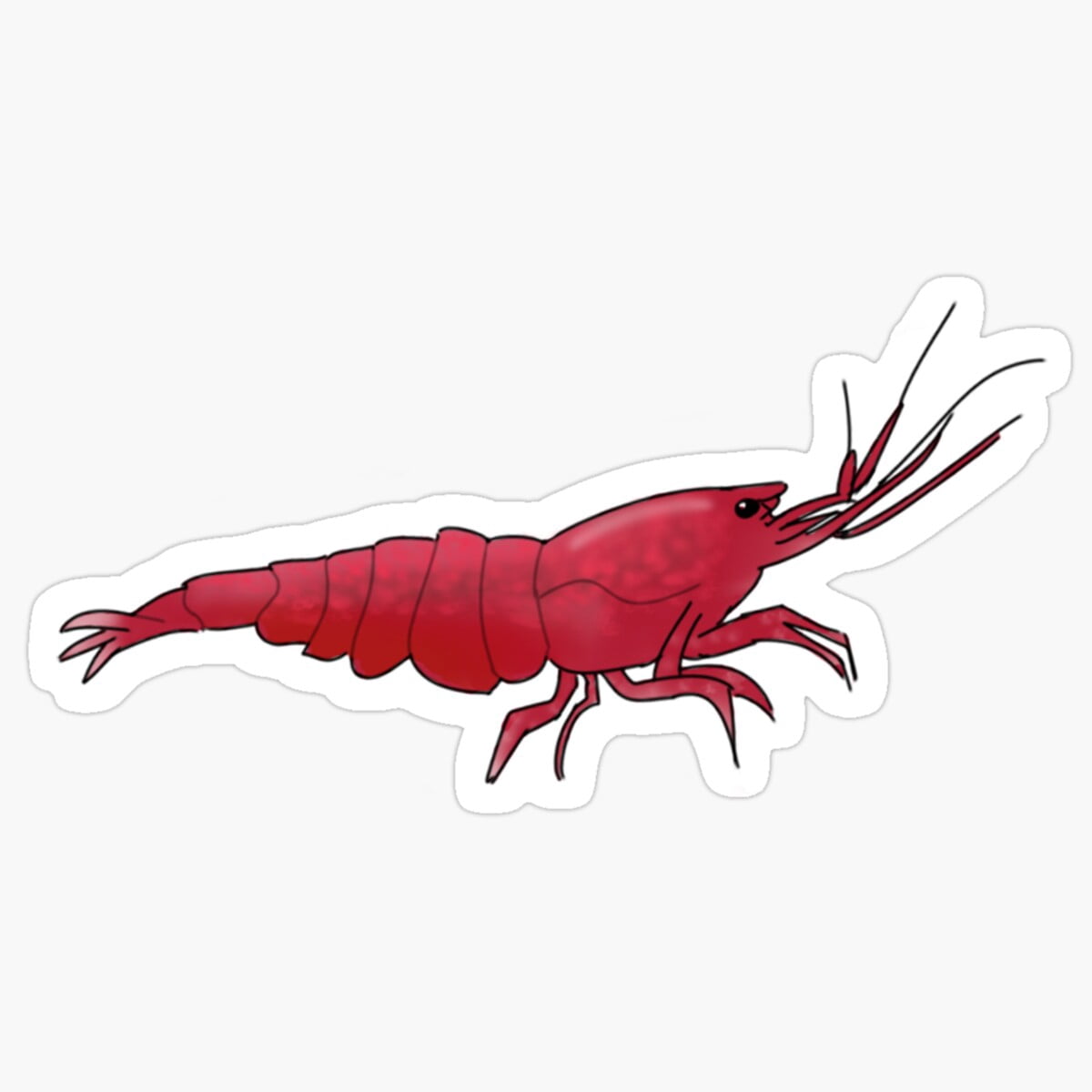DOPASTICKER Cherry Shrimp Sticker. Gift You - Decorate Laptops, Water ...