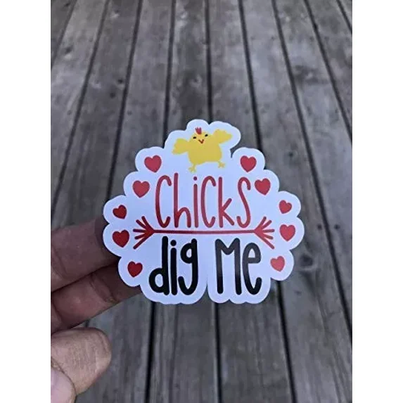 DOPASTICKER Chicks Dig Me Decal Sticker Phone Decal Water Bottle ...