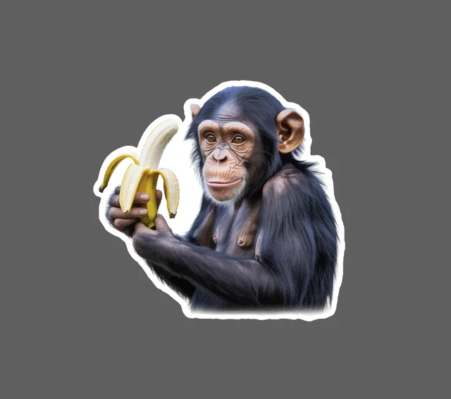 DOPASTICKER Chimpanzee Sticker Monkey Animal Banana Zoo Wild Sticker ...
