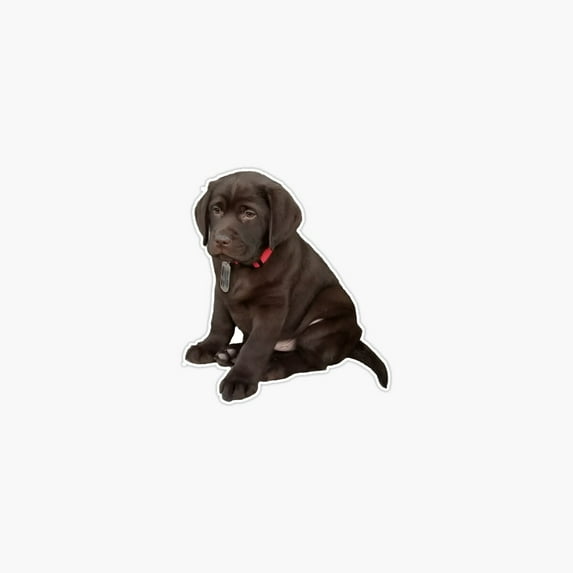 DOPASTICKER Chocolate Lab Puppy Sticker, Phone Sticker Water Bottle ...