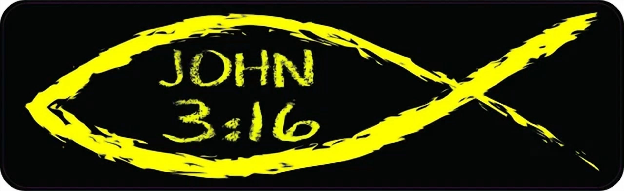 DOPASTICKER Christian Fish John 3:16 Sticker Phone Sticker, Latop ...