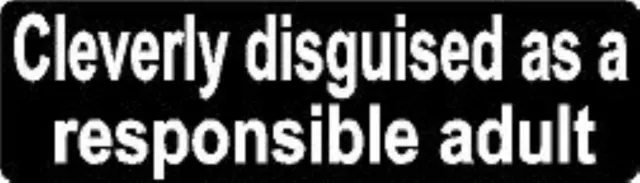 DOPASTICKER Cleverly Disguised As A Responsible Sticker Hard Hat ...