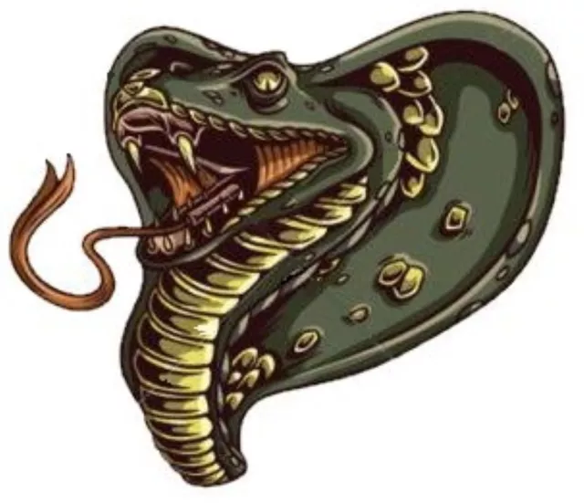 DOPASTICKER Cobra Snake Sticker Phone Decal Water Bottle Stickers, Cars ...