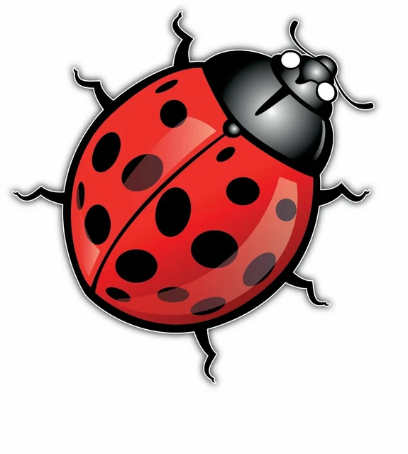 DOPASTICKER Coccinellidae Ladybird Ladybug Lady Beetle Car Window ...