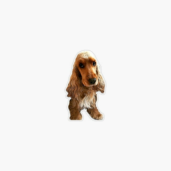 DOPASTICKER Cocker Spaniel Sticker - English Cocker Spaniel (Gold ...