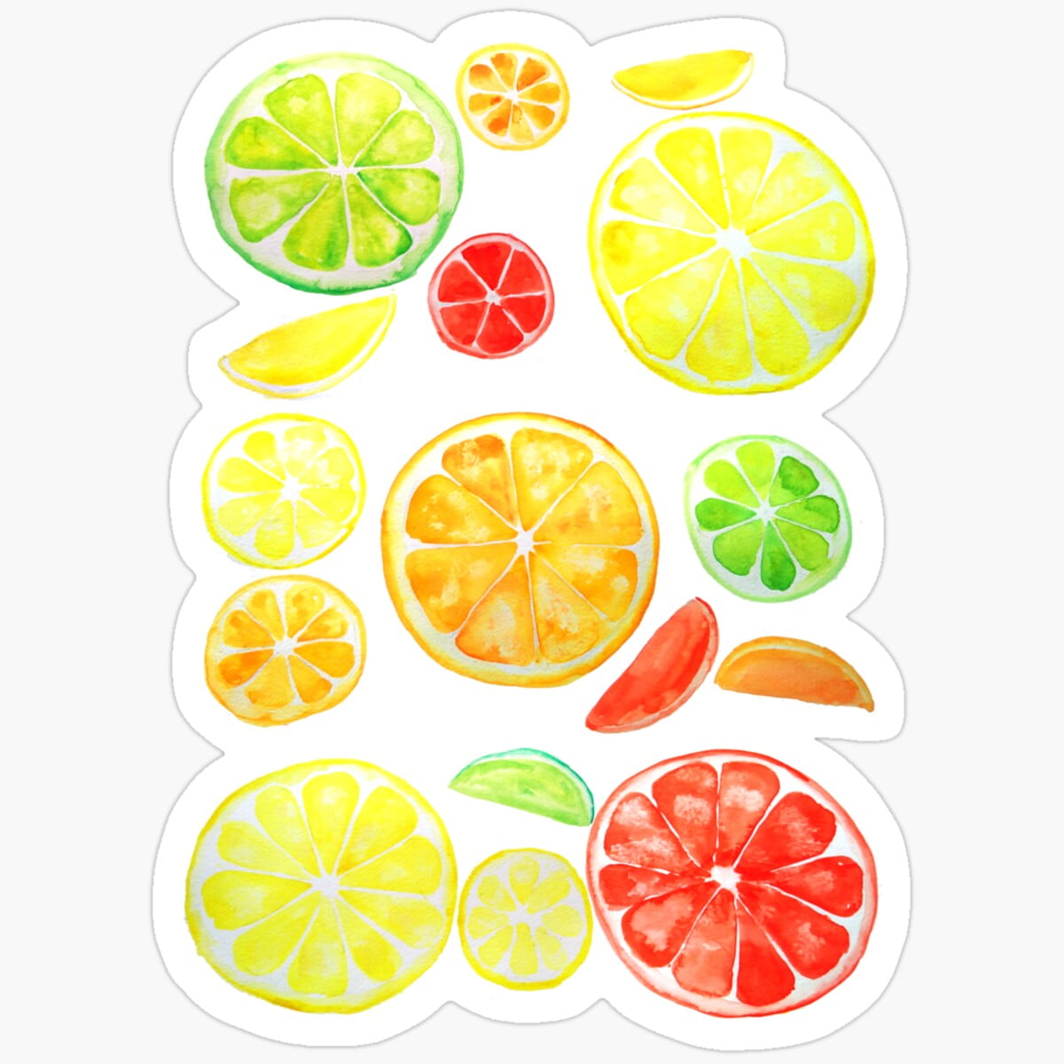 DOPASTICKER Colorful Citrus Slices Watercolor Sticker Birthday Gifts ...