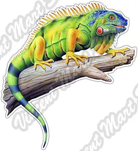 DOPASTICKER Colorful Green Iguana Lizard Reptile Miami Car Sticker ...