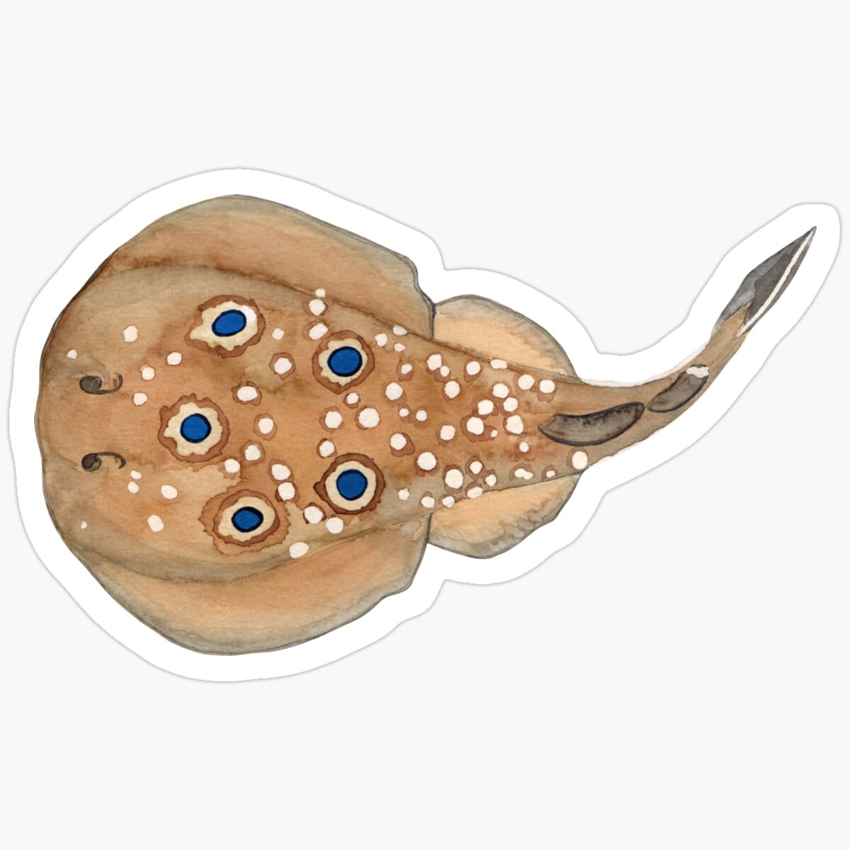 DOPASTICKER Common Torpedo Ray Sticker Birthday Gifts - Decorative ...