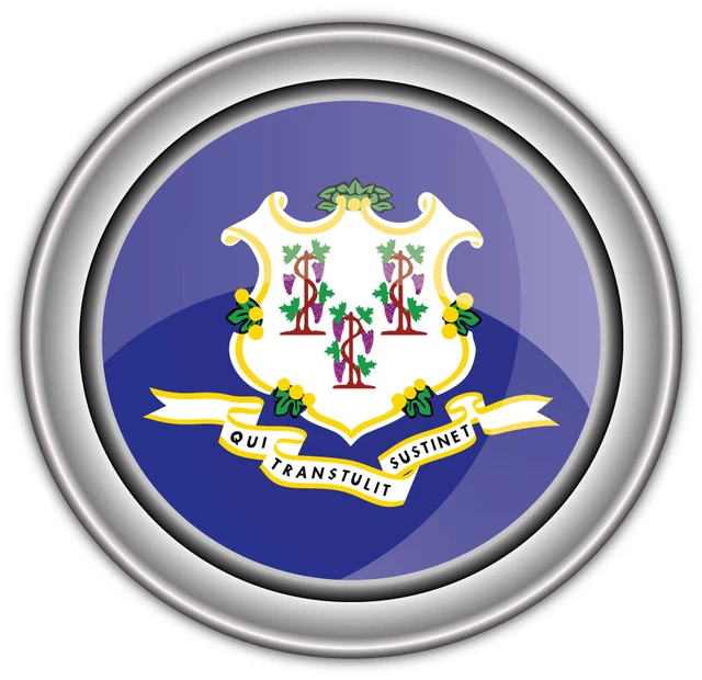 DOPASTICKER Connecticut Usa State Flag Silver Badge Car Sticker Decal ...