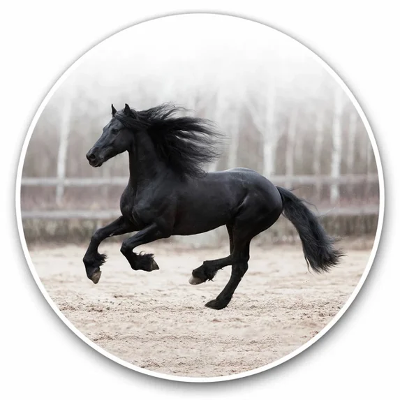 DOPASTICKER Cool Black Friesian Horse Cool Gift Decorative Laptop ...