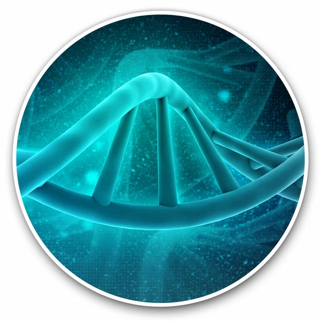 DOPASTICKER Cool Dna Structure Science Chemistry Cool Gift, Phone ...