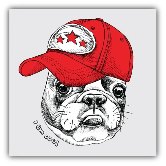 DOPASTICKER Cool French Bulldog Sticker Decal Phone Decal Water Bottle ...