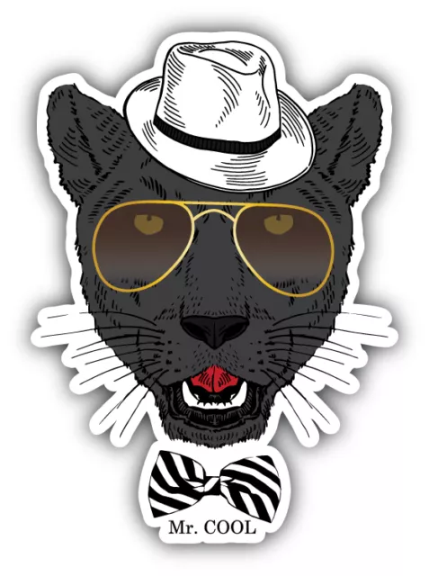 DOPASTICKER Cool Panther Boy Face Sticker Decal Phone Decal Water ...