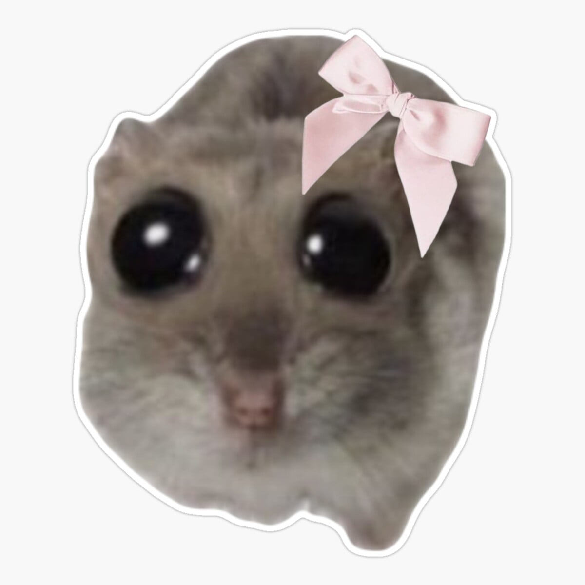 DOPASTICKER Coquette Big Eye Hamster Sticker, Phone Sticker Car Sticker ...