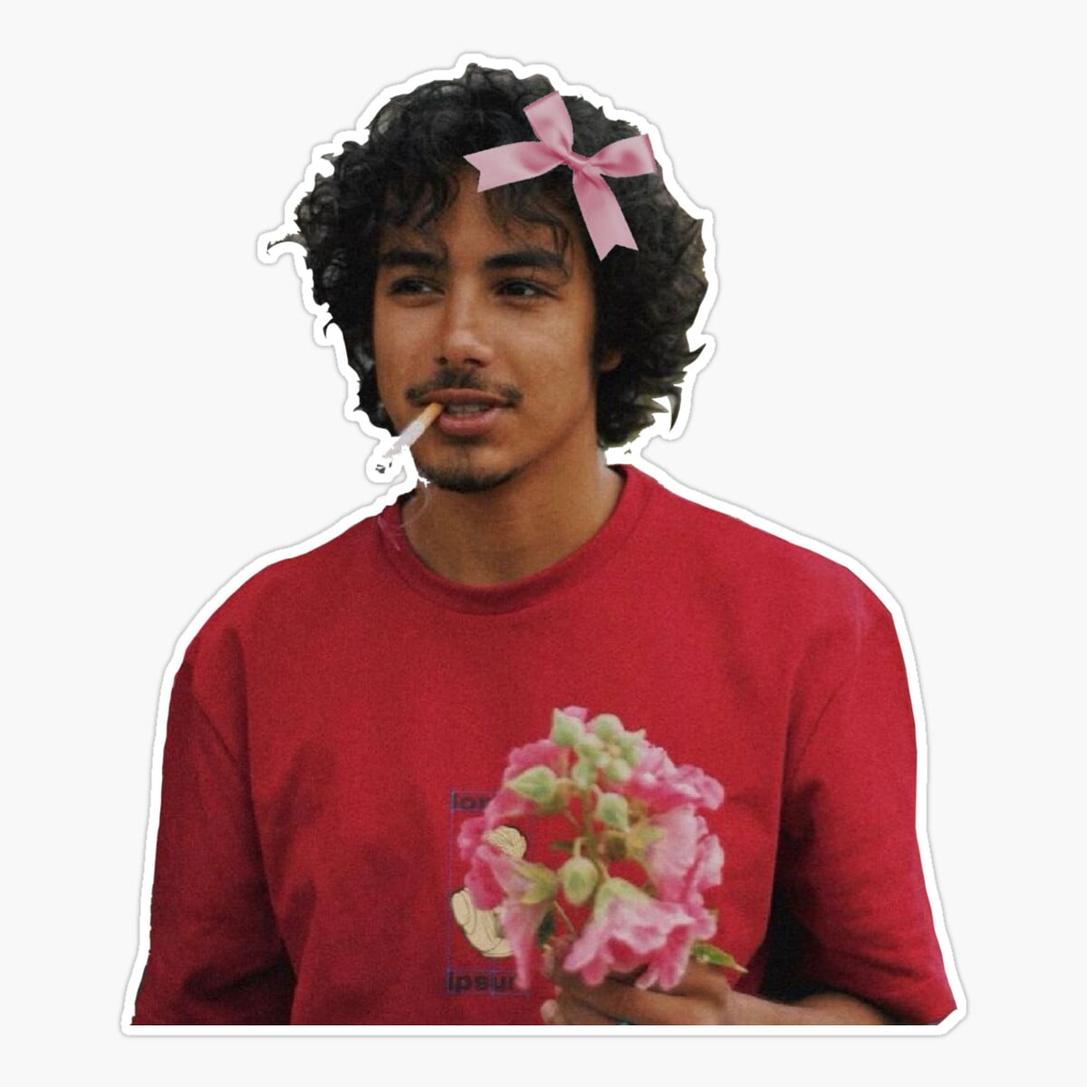 DOPASTICKER Coquette James Potter With Bow Sticker, Phone Sticker Car ...