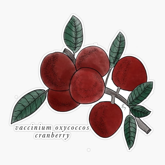 DOPASTICKER Corgi Sticker, Phone Sticker Water Bottle Stickers Car ...