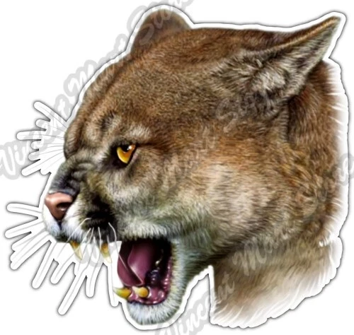DOPASTICKER Cougar Crawling Cat Wildcat Mascot Animal Car Sticker Decal ...