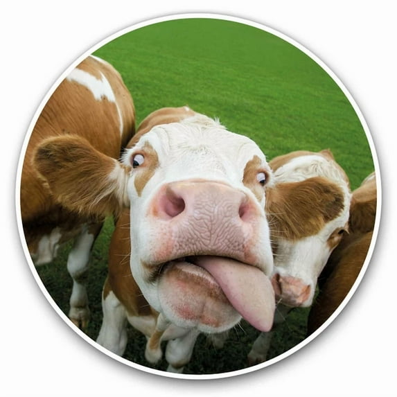 DOPASTICKER Cow Cattle Animals Farmer Cool Gift Decorative Laptop ...