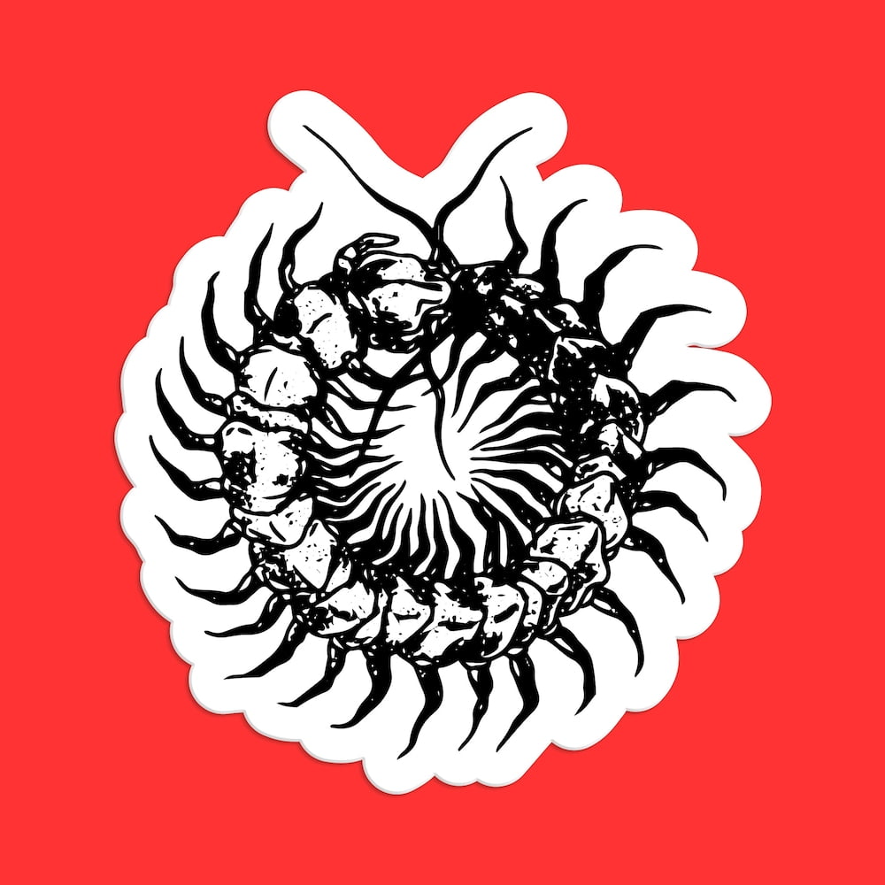 DOPASTICKER Creepy Centipede Sticker - Gothic Insect Design For Horror ...