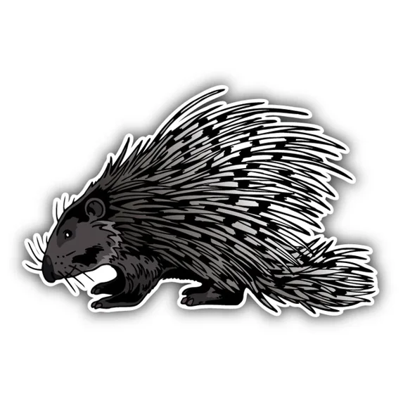 DOPASTICKER Crested Porcupine Sticker Decal Phone Decal Water Bottle ...