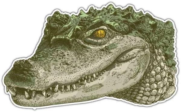 DOPASTICKER Crocodile Alligator Head Croc Reptile Car Window Sticker ...