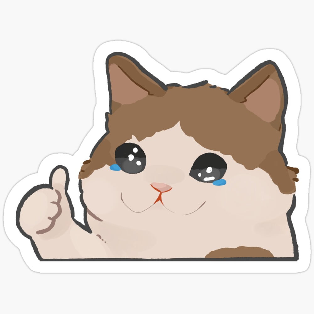 DOPASTICKER Crying Cat Sticker Phone Sticker, Latop Sticker, Lover Gift ...