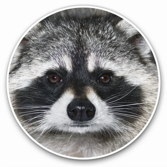 DOPASTICKER Cute Animal Face Cool Gift Decorative Laptop, Phone ...