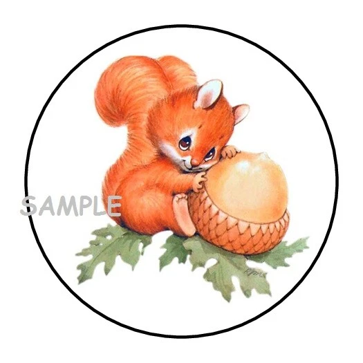 DOPASTICKER Cute Baby Squirrel & Acorn Stickers Autumn Phone Decal ...