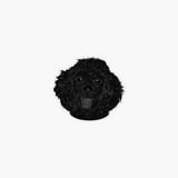 DOPASTICKER Cute Black Beautiful Poodle Puppy Sticker, Phone Sticker ...