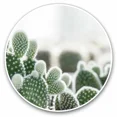 DOPASTICKER Cute Cacti Plant Cactus Plants Cool Gift Decorative Laptop ...