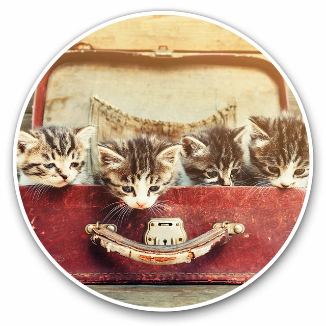 DOPASTICKER Cute Case Of Tabby Cats Kittens Cool Gift Decorative Laptop ...