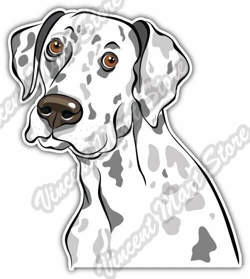 DOPASTICKER Cute Dalmatian Dog Breed Pet Car Sticker Decal Phone Decal ...