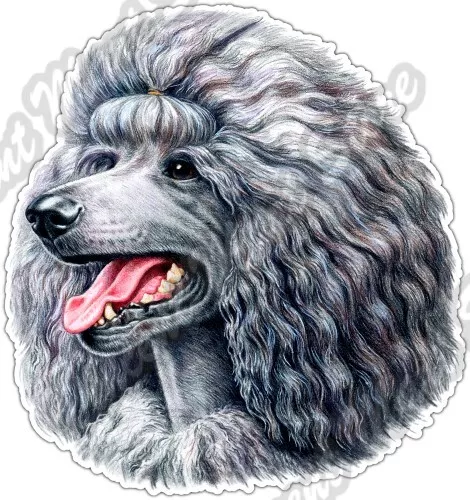 DOPASTICKER Cute Gray Poodle Dog Pet Breed Animal Dogs Car Sticker ...