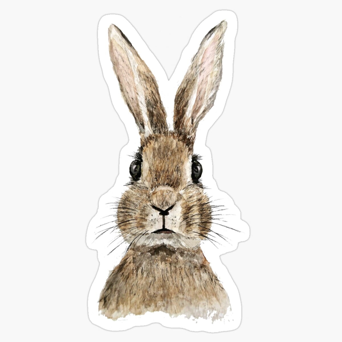 DOPASTICKER Cute Innocent Rabbit Watercolor Sticker Birthday Gifts ...