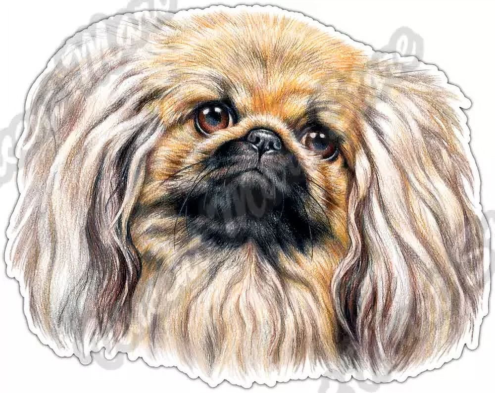 DOPASTICKER Cute Pekingese Dog Dogs Pet Animal Breed Car Sticker Decal ...