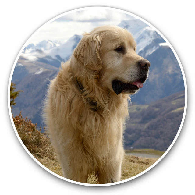 DOPASTICKER Cute Pyrenees Mountain Dog Cool Gift Decorative Laptop ...