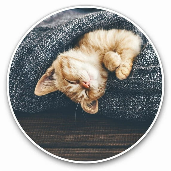 DOPASTICKER Cute Sleeping Cat Kitten Blanket Cool Gift Decorative ...