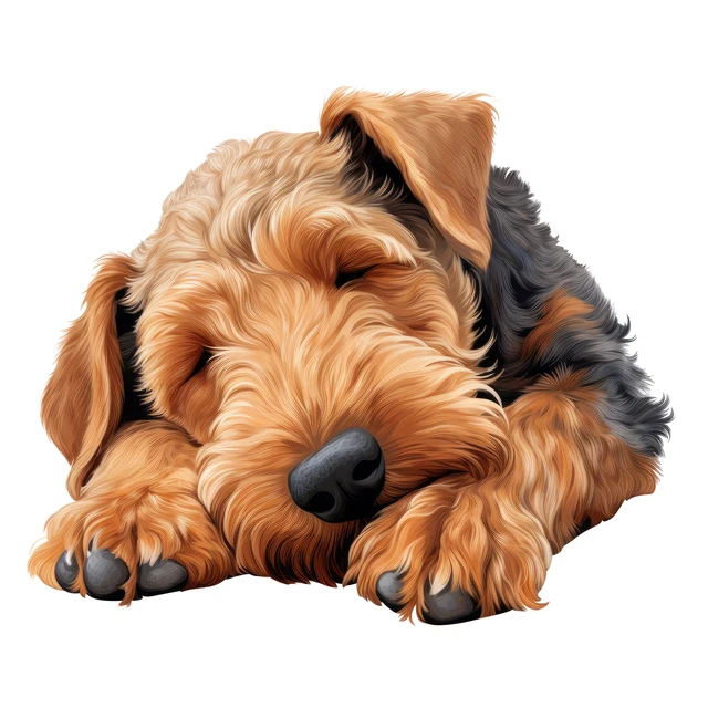 DOPASTICKER Cute Sleeping Dog Car Sticker Dog Sticker Phone Sticker ...