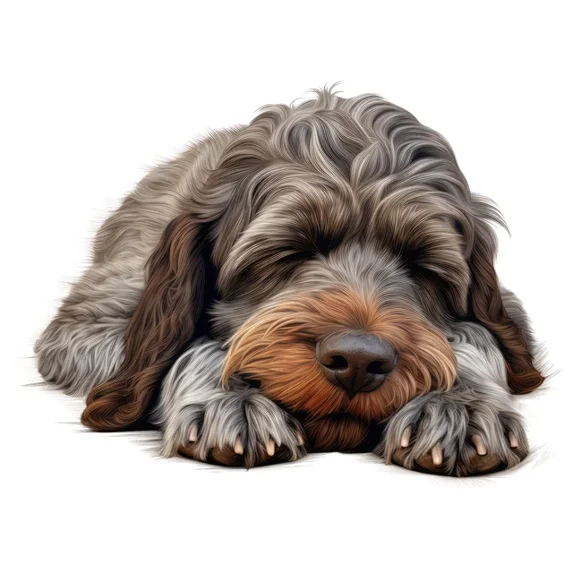 DOPASTICKER Cute Sleeping Dog Car Sticker Dog Sticker Phone Sticker ...